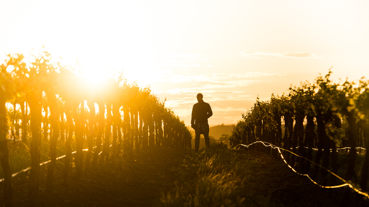 Taylors Tasting Experiences | Taylors Wines