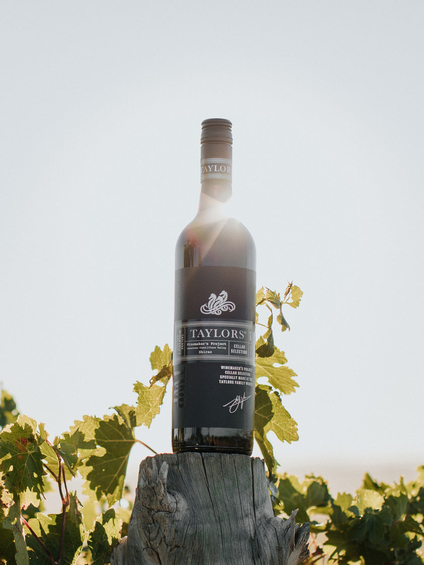 Shiraz Wines | Bold Clare Valley Reds | Taylors Wines